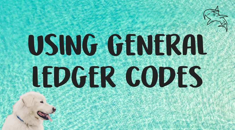 General Ledger Codes And How They Can Add HUGE Value To Managing 