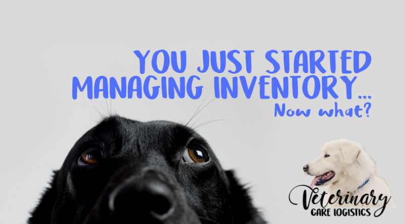 So You Just Starting Managing Inventory... Now What? | Veterinary Care ...