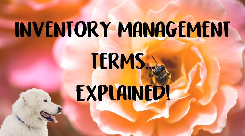 Veterinary Inventory Management Terms... Explained!! | Veterinary Care ...