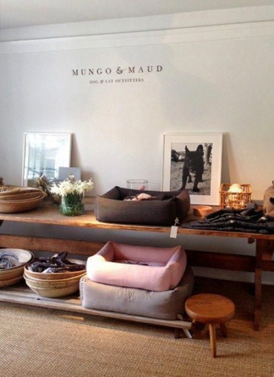 Veterinary Hospital Retail Area Inspiration